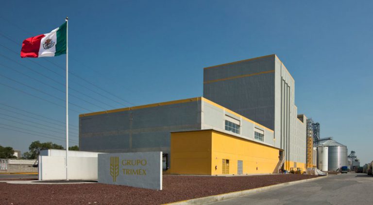 admin, Author at Grupo Trimex - Harinas de trigo